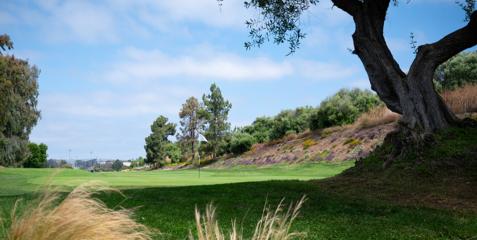 Home - Shorecliffs Golf Club